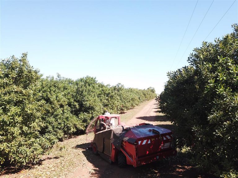 Macadamia & Pecan nuts X16 harvester - X16 harvester