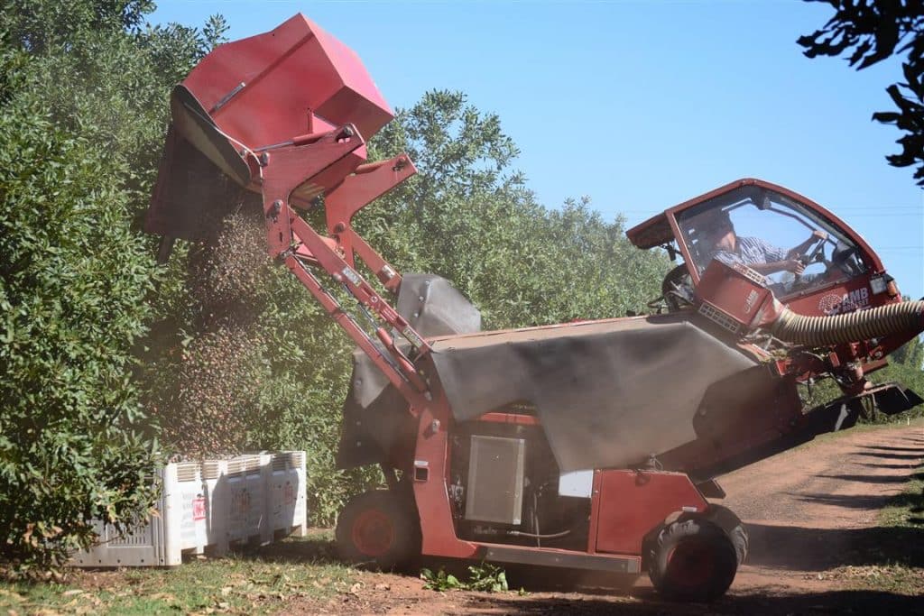 Macadamia & Pecan nuts X16 harvester - X16 harvester